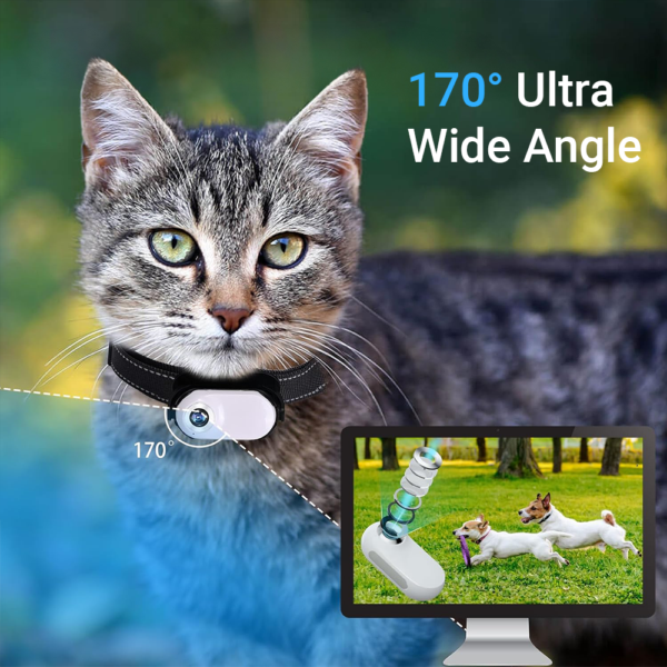Cat Cam Pro | Long Lasting Battery | HD Quality
